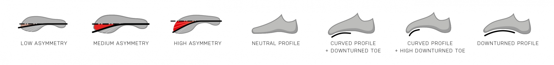 ¿Cómo escoger las mejores gatas? – PRENZIL